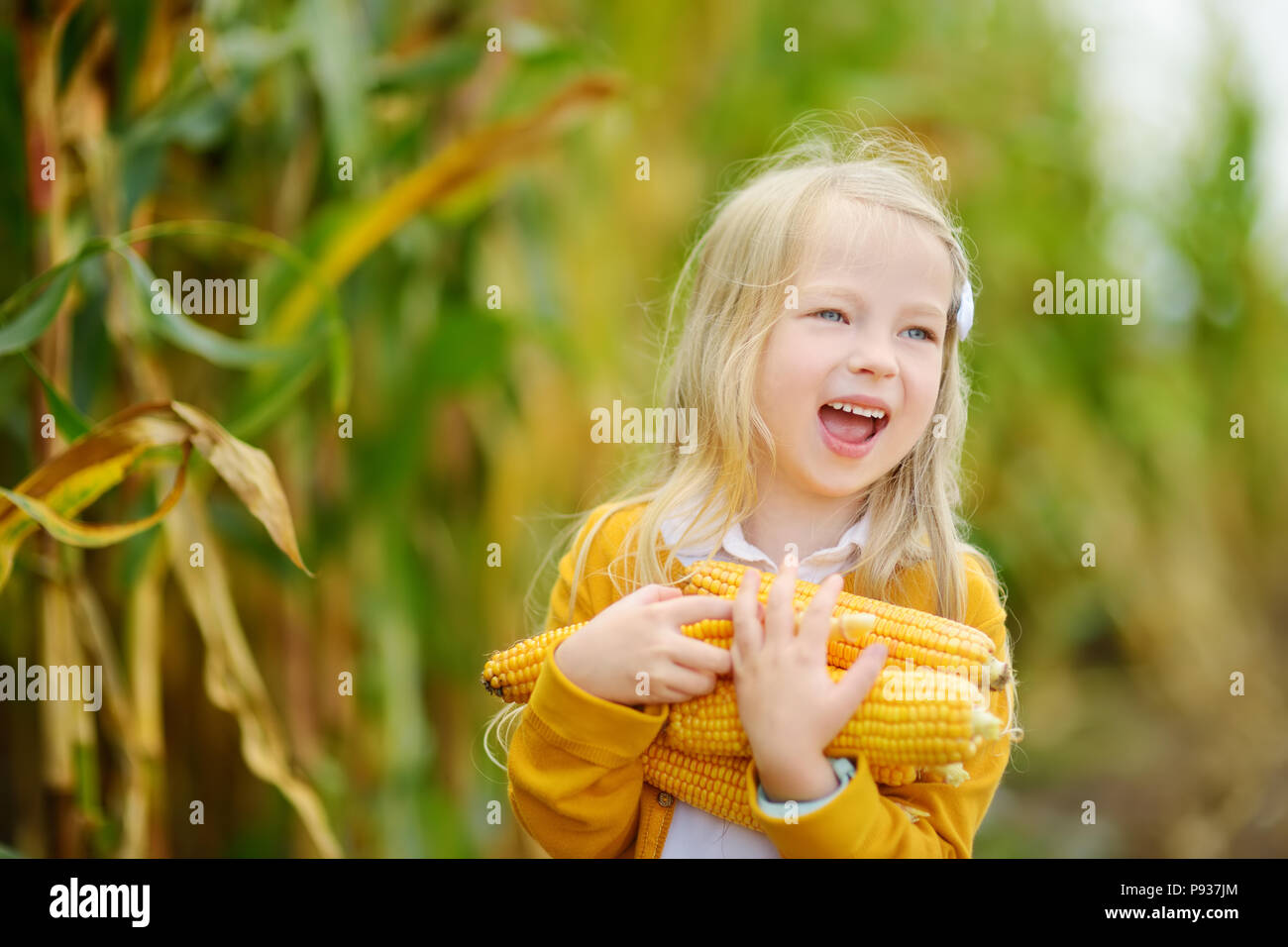 Adorable girl playing in a corn field on beautiful autumn day. Pretty ...