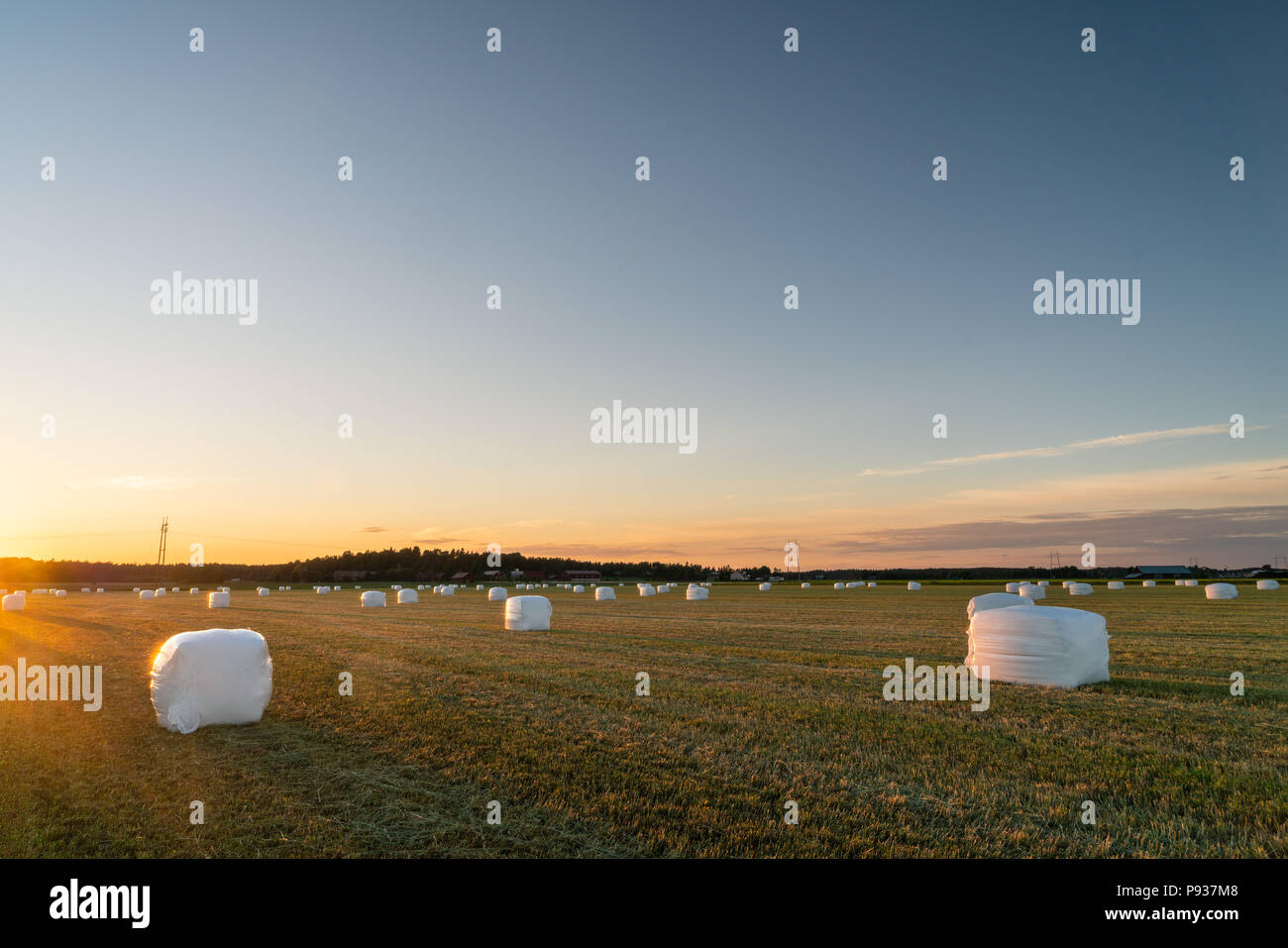 Plastic hay rolls hi-res stock photography and images - Alamy