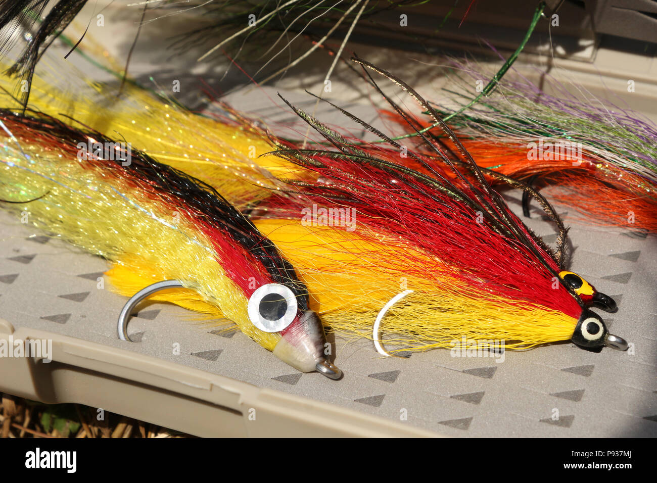 Types of pike flies hi-res stock photography and images - Alamy