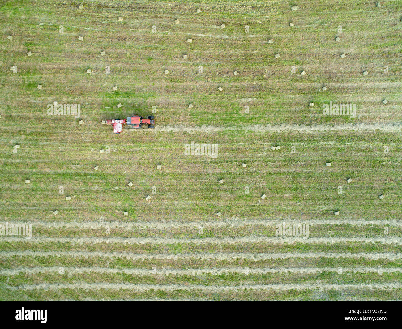 Aerial view of a tractor making hay cubes seen directly above. Copy ...