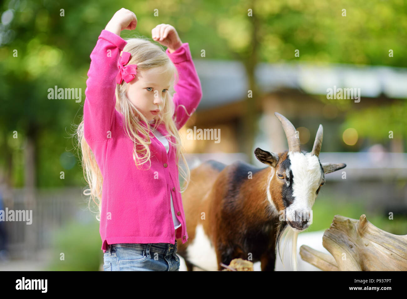 Cute little girl petting and feeding a goat at petting zoo. Child ...