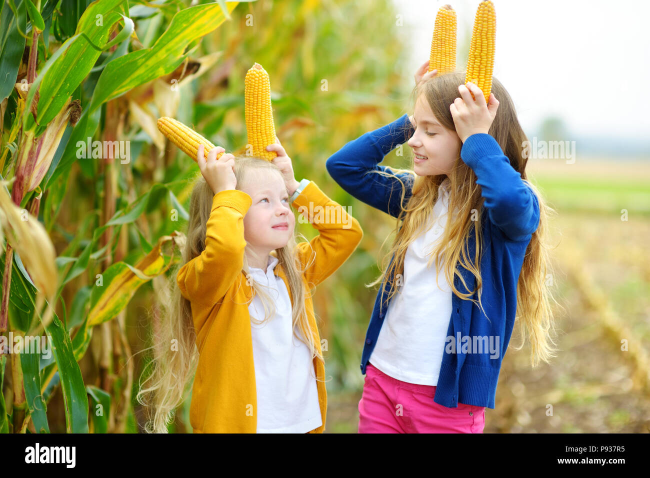 Children in corn field hi-res stock photography and images - Alamy