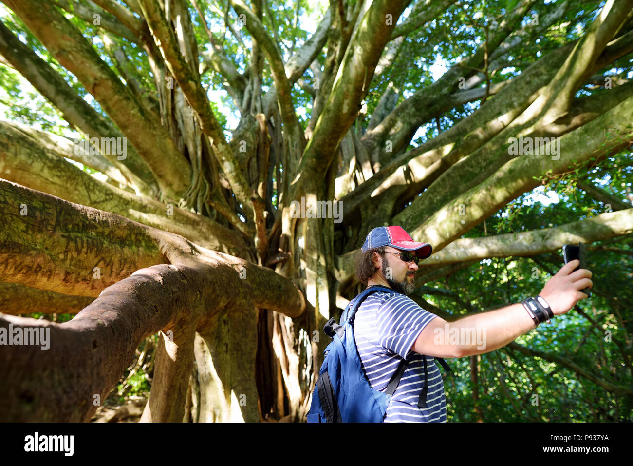 Male tourist taking photo of himself near giant banyan tree on Hawaii ...