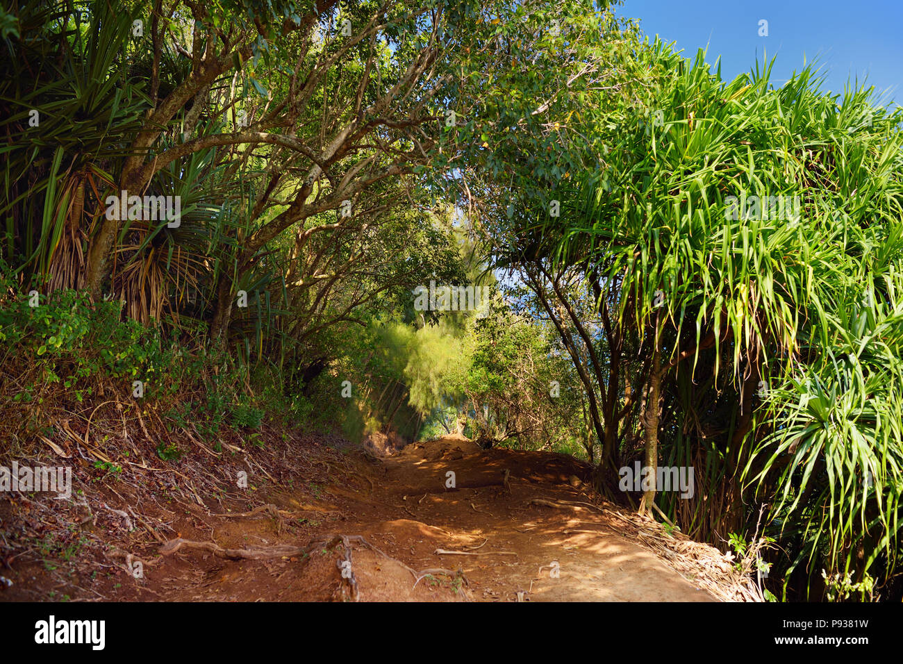 Beautiful Pololu loop trail located near Kapaau, Hawaii, that features ...