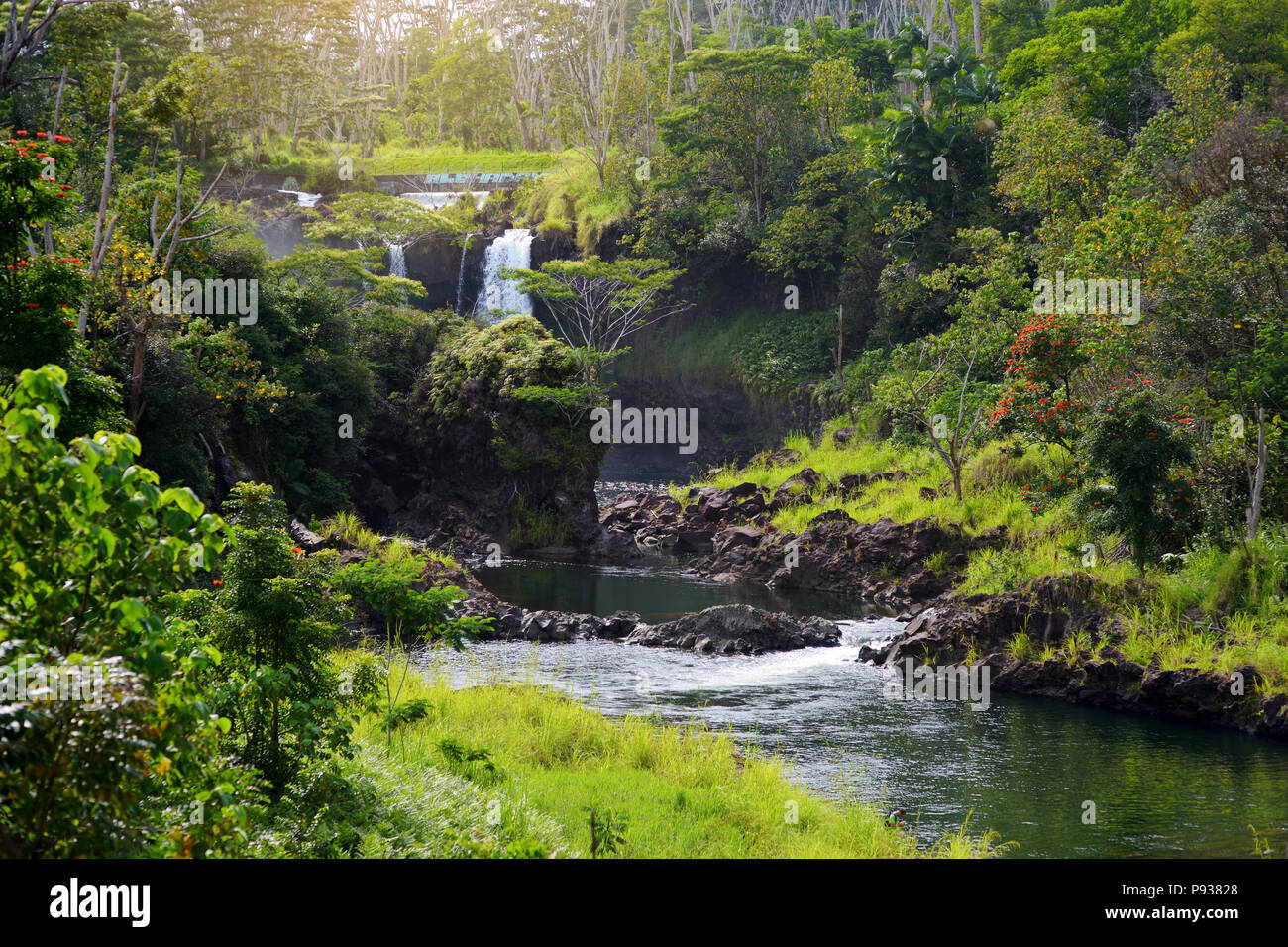 Majesitc Pee Pee Falls waterfall in Hilo, Wailuku River State Park ...