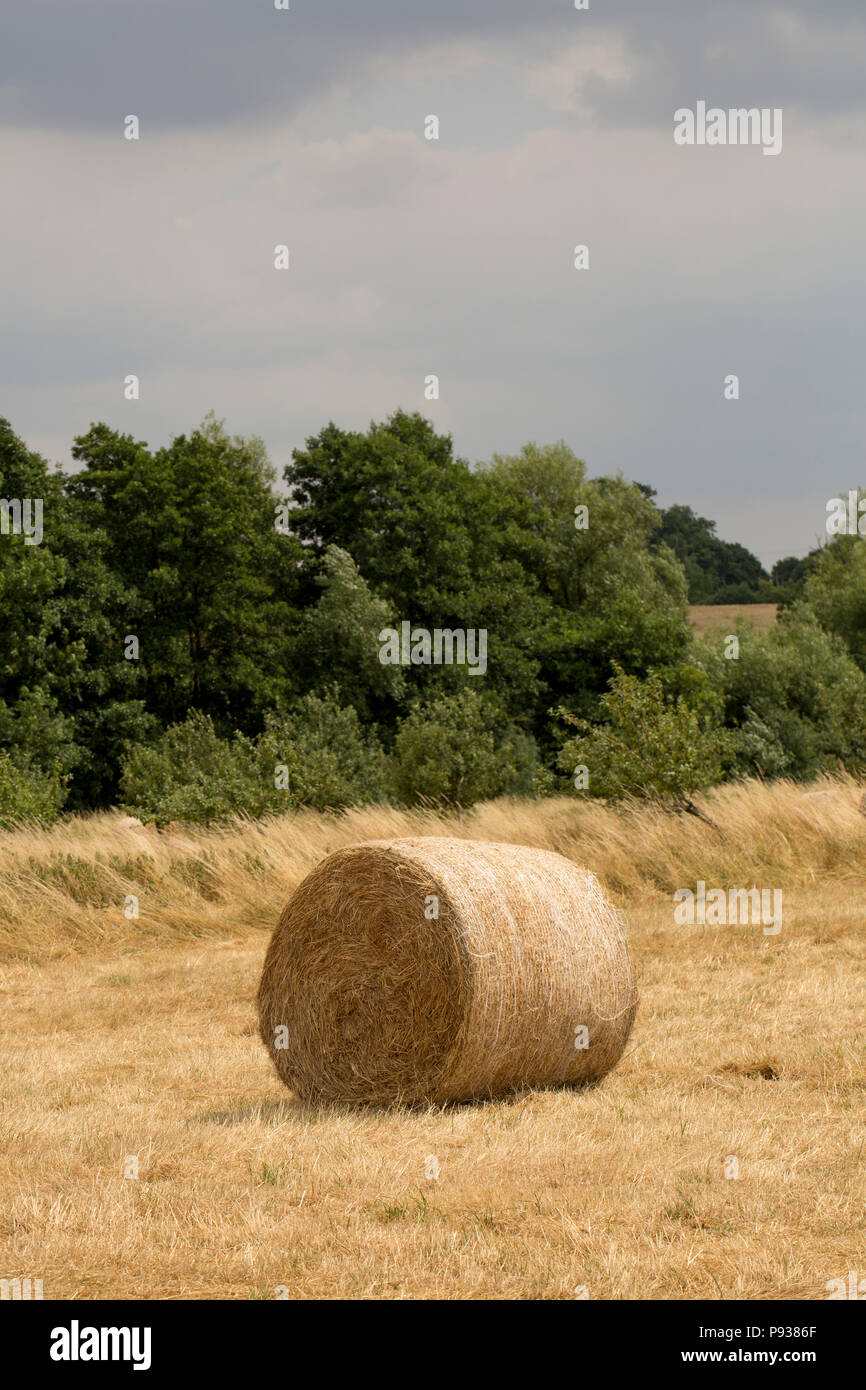 Round bale hi-res stock photography and images - Alamy