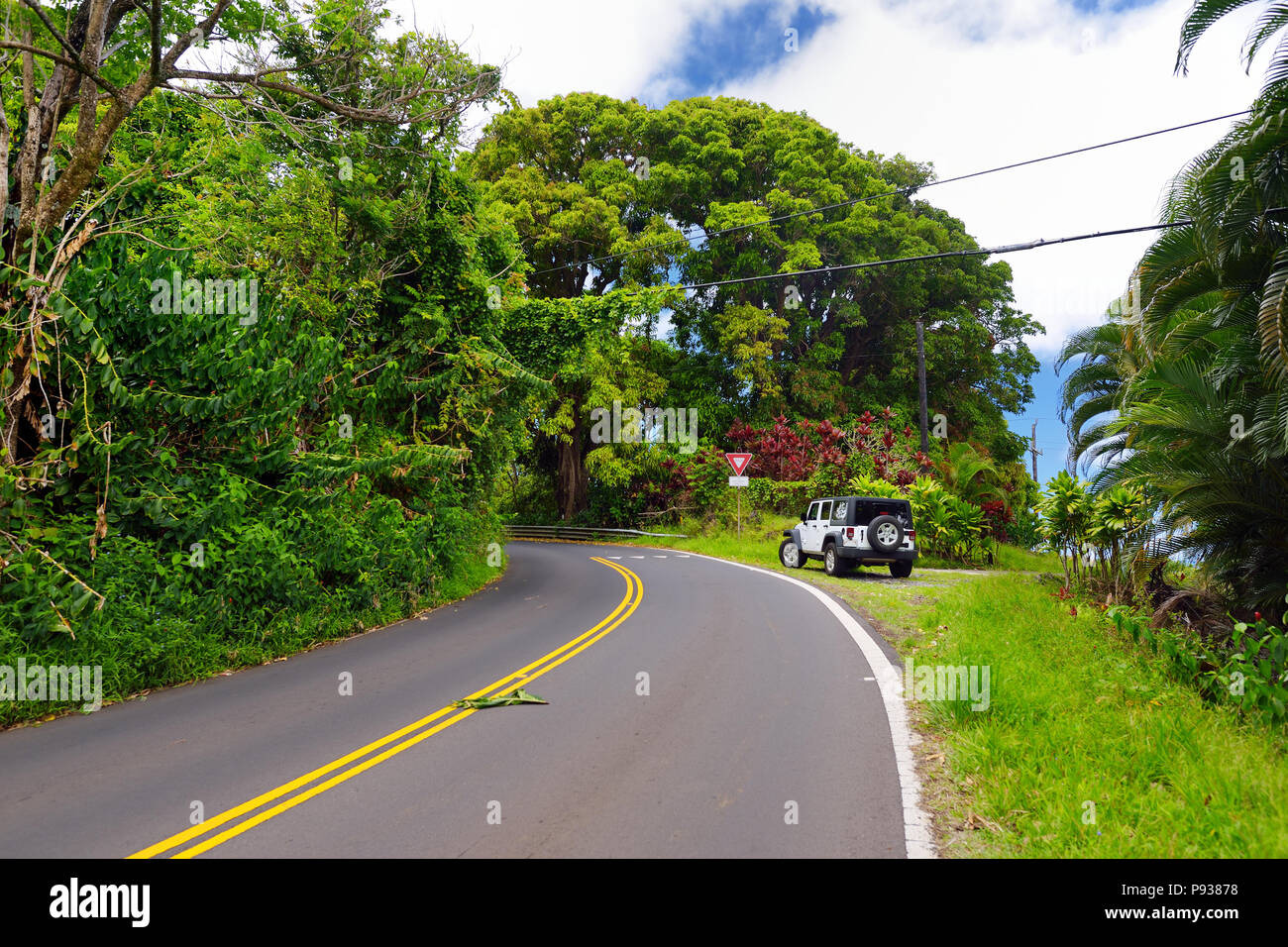 Famous Road to Hana fraught with narrow one-lane bridges, hairpin turns ...