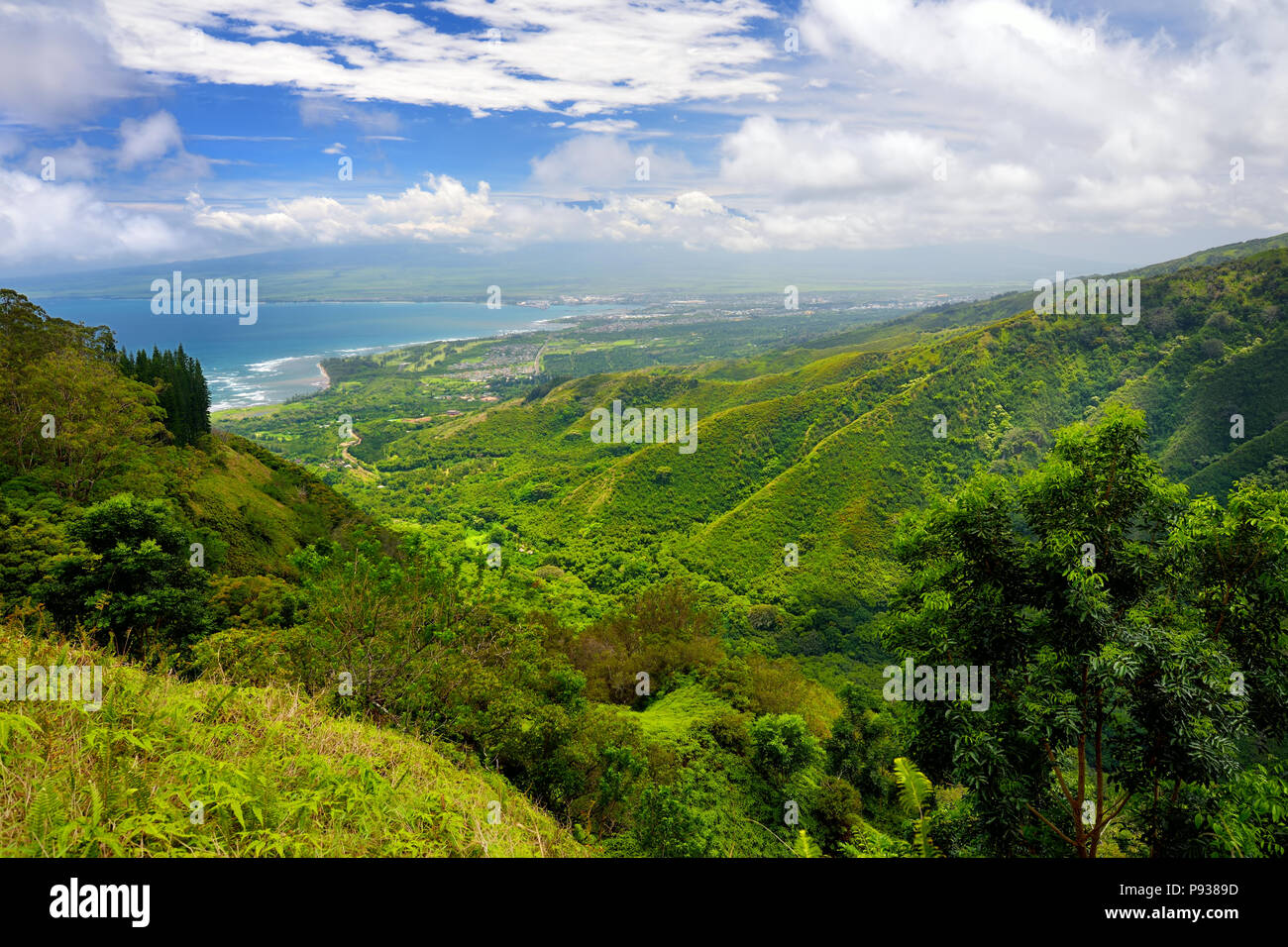 Beautiful tranquil view of Maui landscape with white clouds over green ...