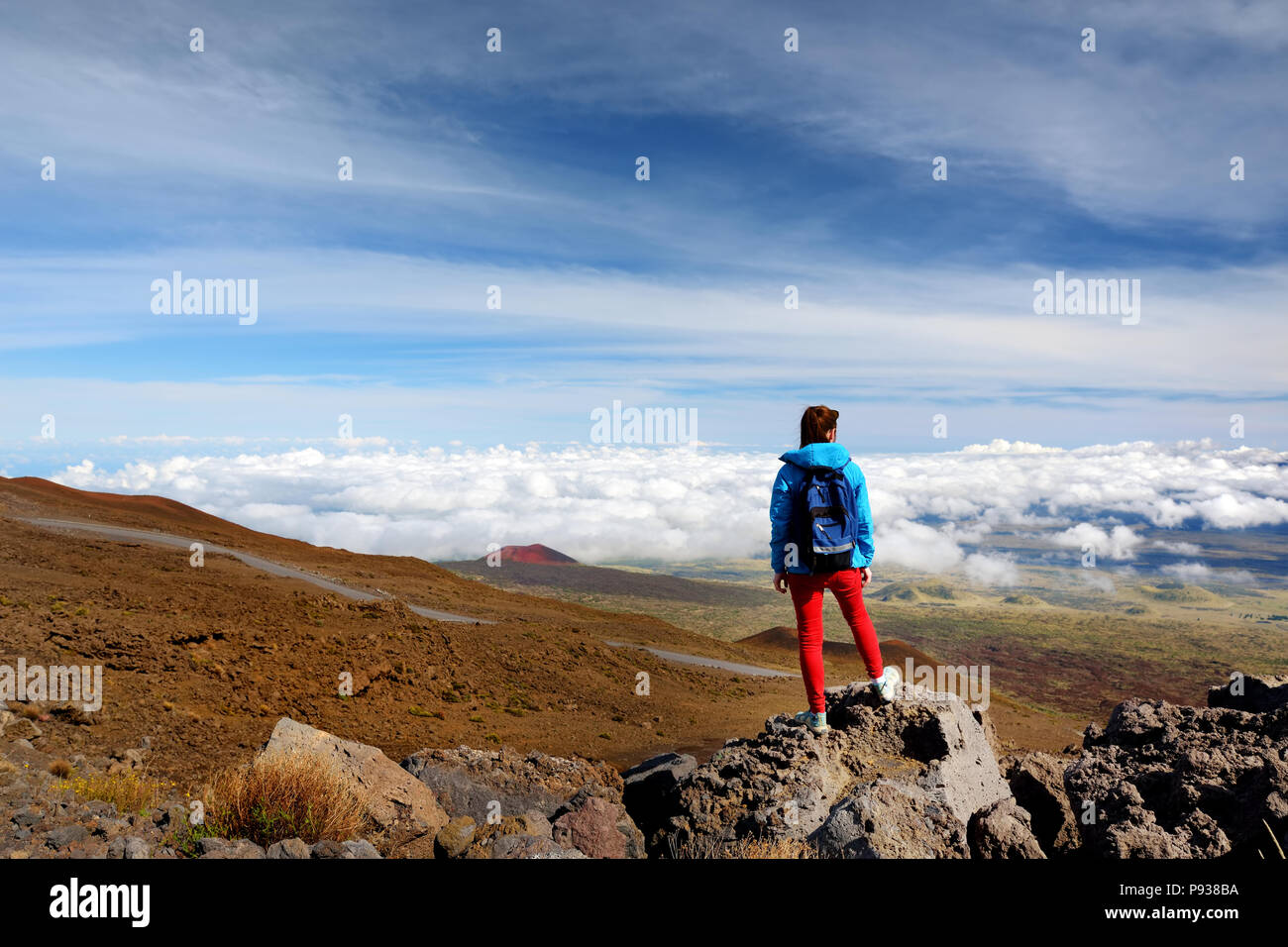 Tourist admiring breathtaking view of Mauna Loa volcano on the Big ...