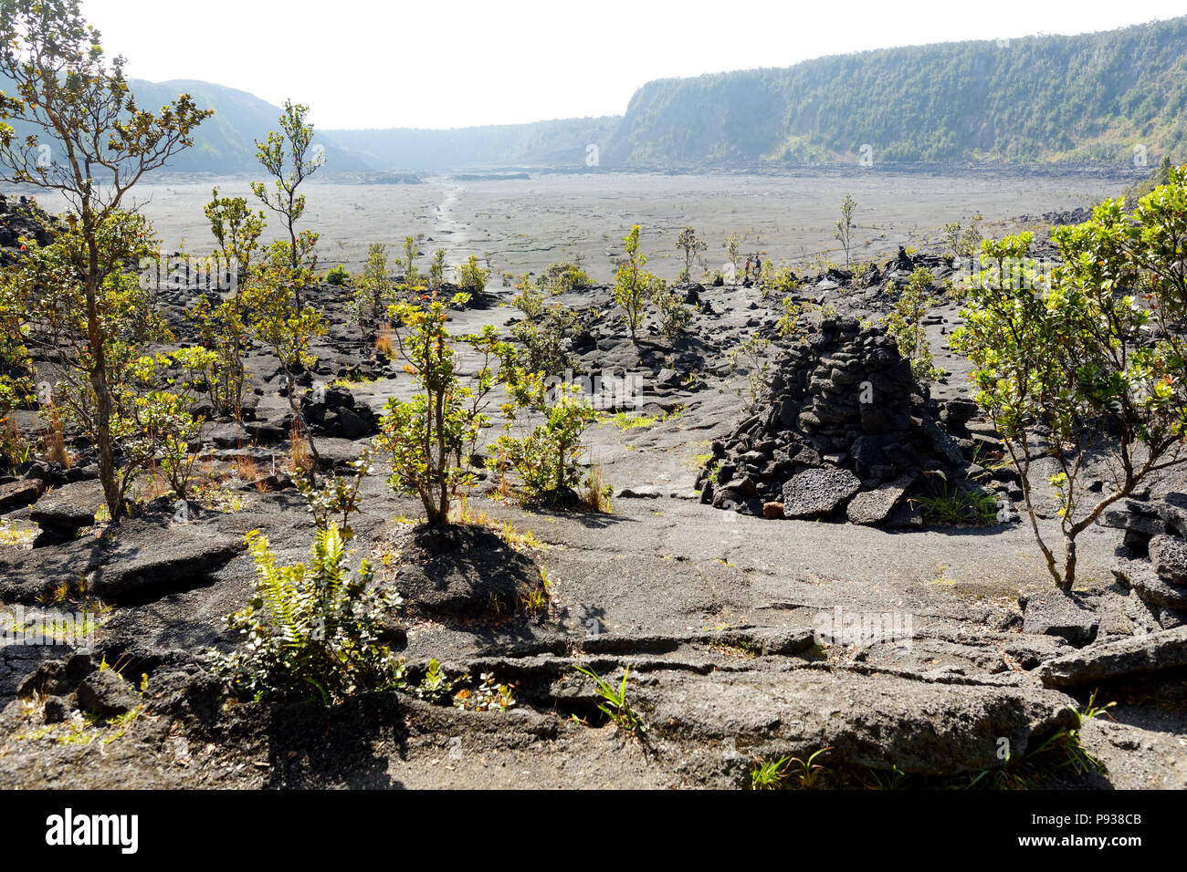 Stunning view of the Kilauea Iki volcano crater surface with crumbling ...