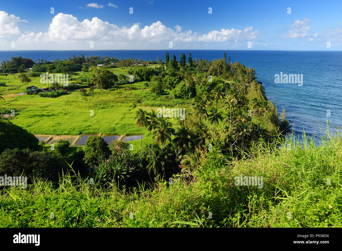 Beautiful views of Maui North coast seen from famous winding Road to ...