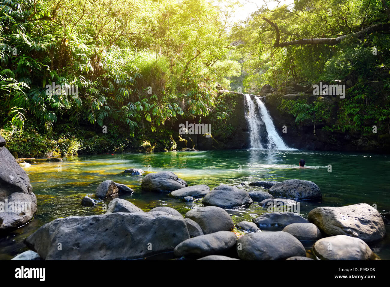 Tropical waterfall Lower Waikamoi Falls and a small crystal clear pond ...