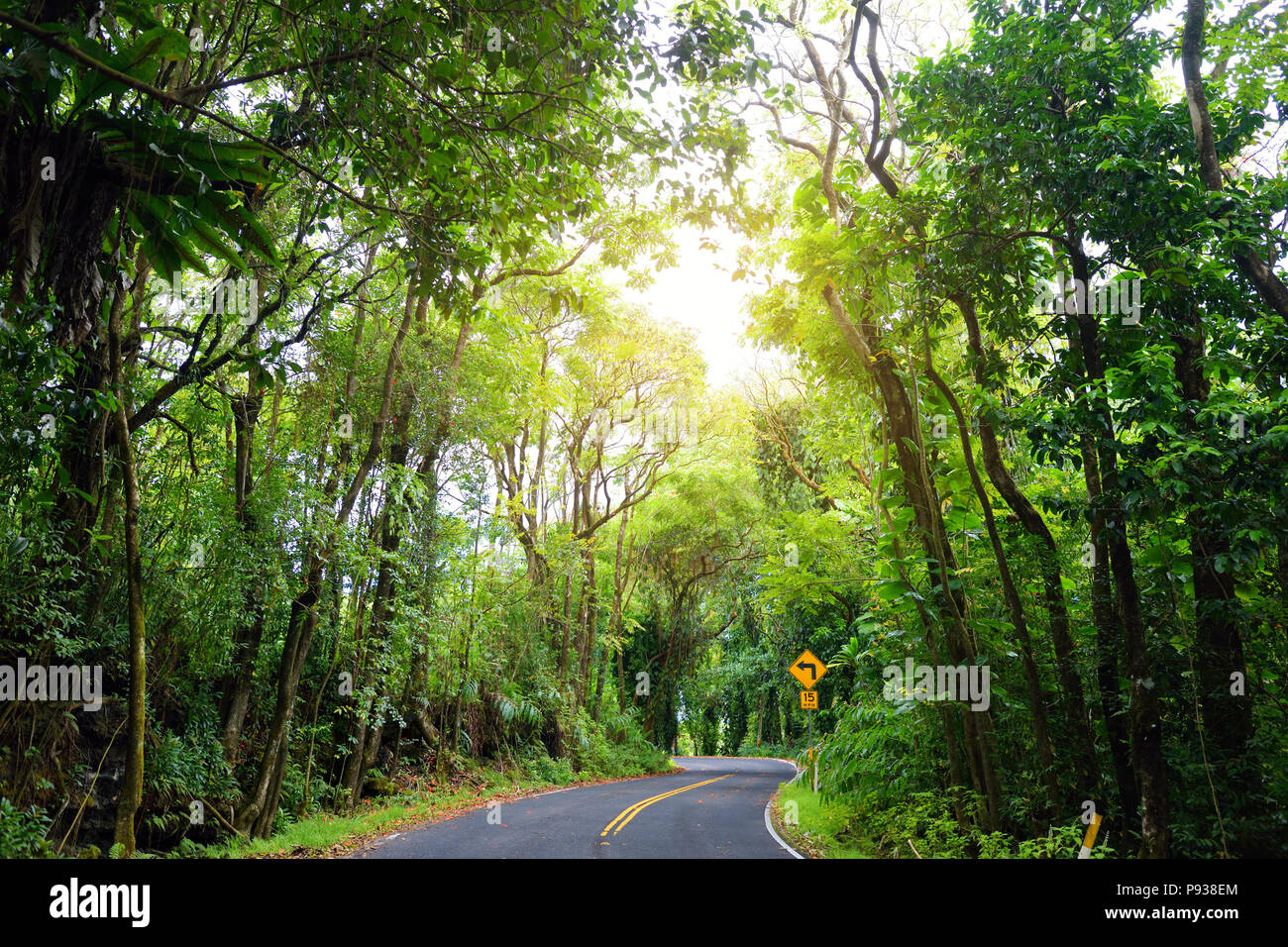 Incredible view narrow road hi-res stock photography and images - Alamy