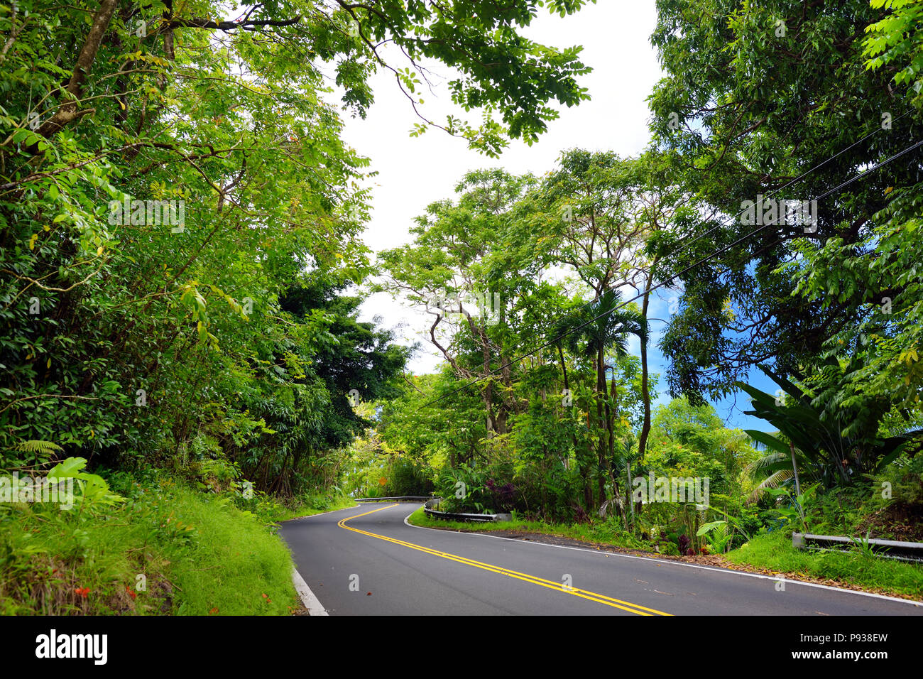Famous Road to Hana fraught with narrow one-lane bridges, hairpin turns ...