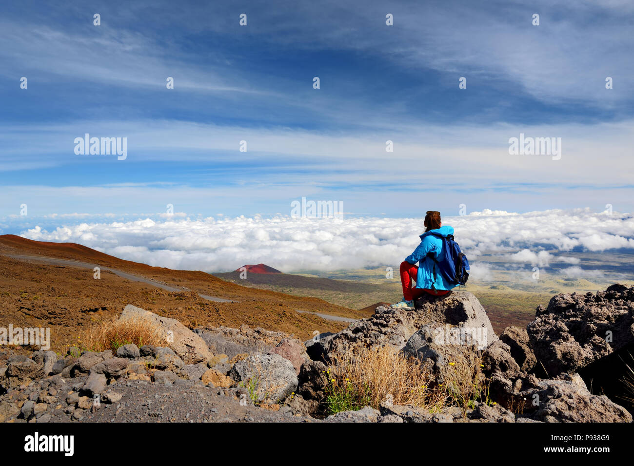 Tourist admiring breathtaking view of Mauna Loa volcano on the Big ...