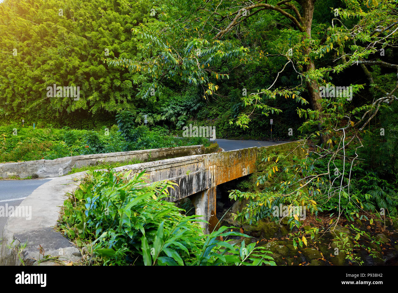 Famous Road to Hana fraught with narrow one-lane bridges, hairpin turns ...