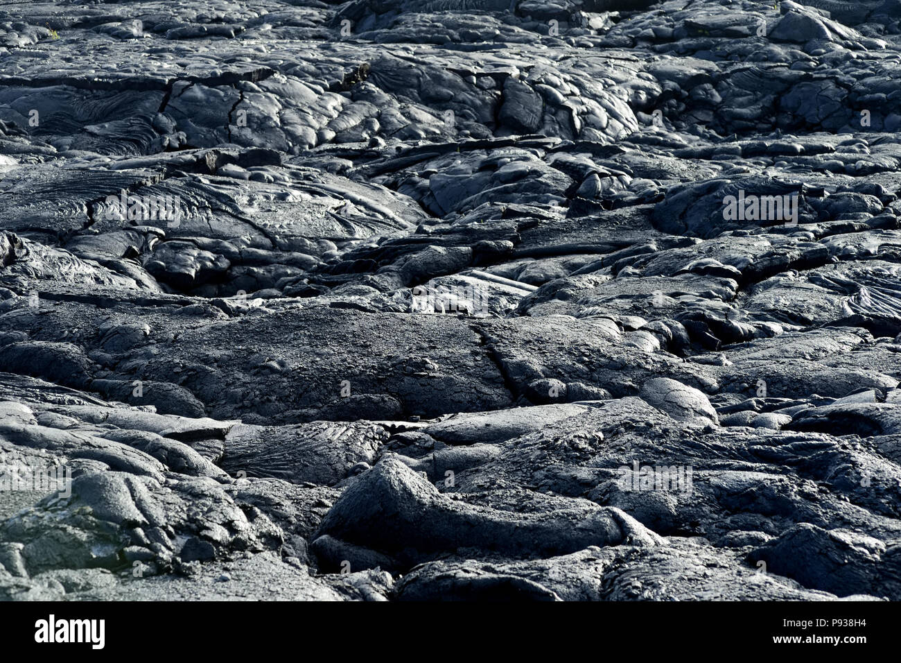 Smooth, undulating surface of frozen pahoehoe lava. Frozen lava ...