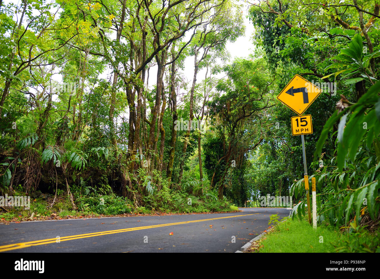 Famous Road to Hana fraught with narrow one-lane bridges, hairpin turns ...