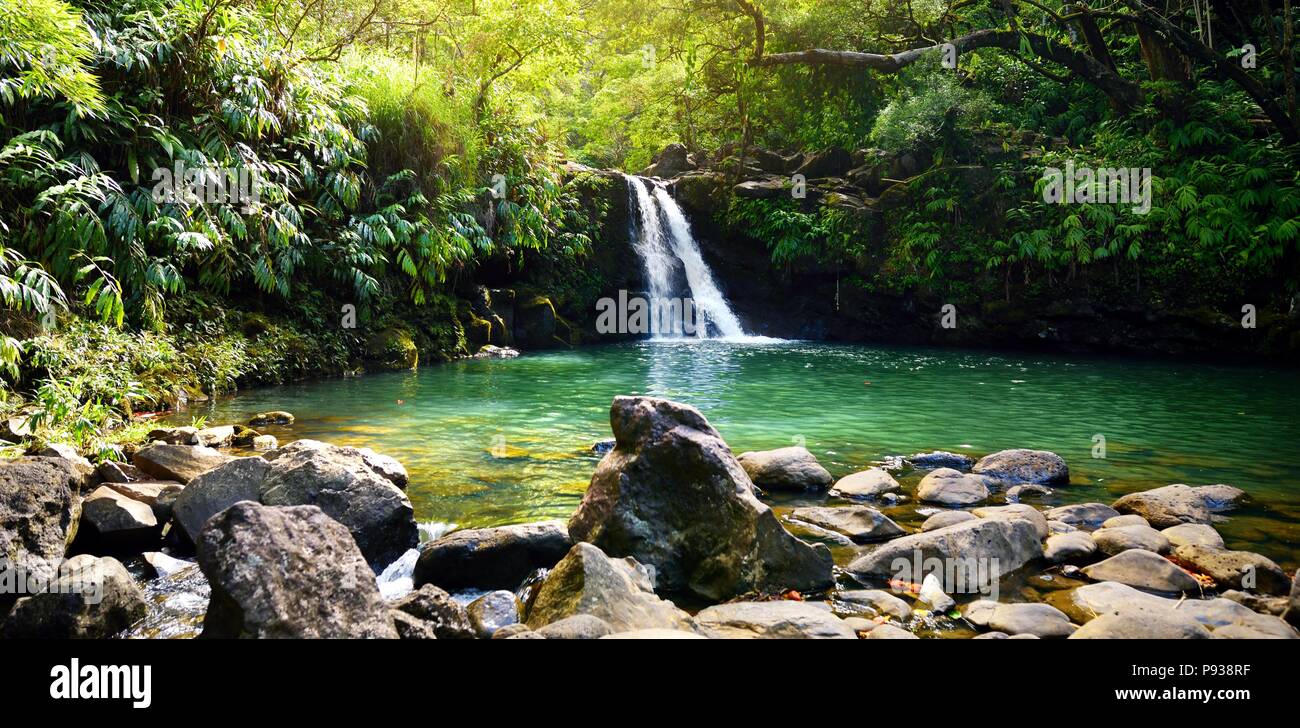 Tropical waterfall Lower Waikamoi Falls and a small crystal clear pond ...
