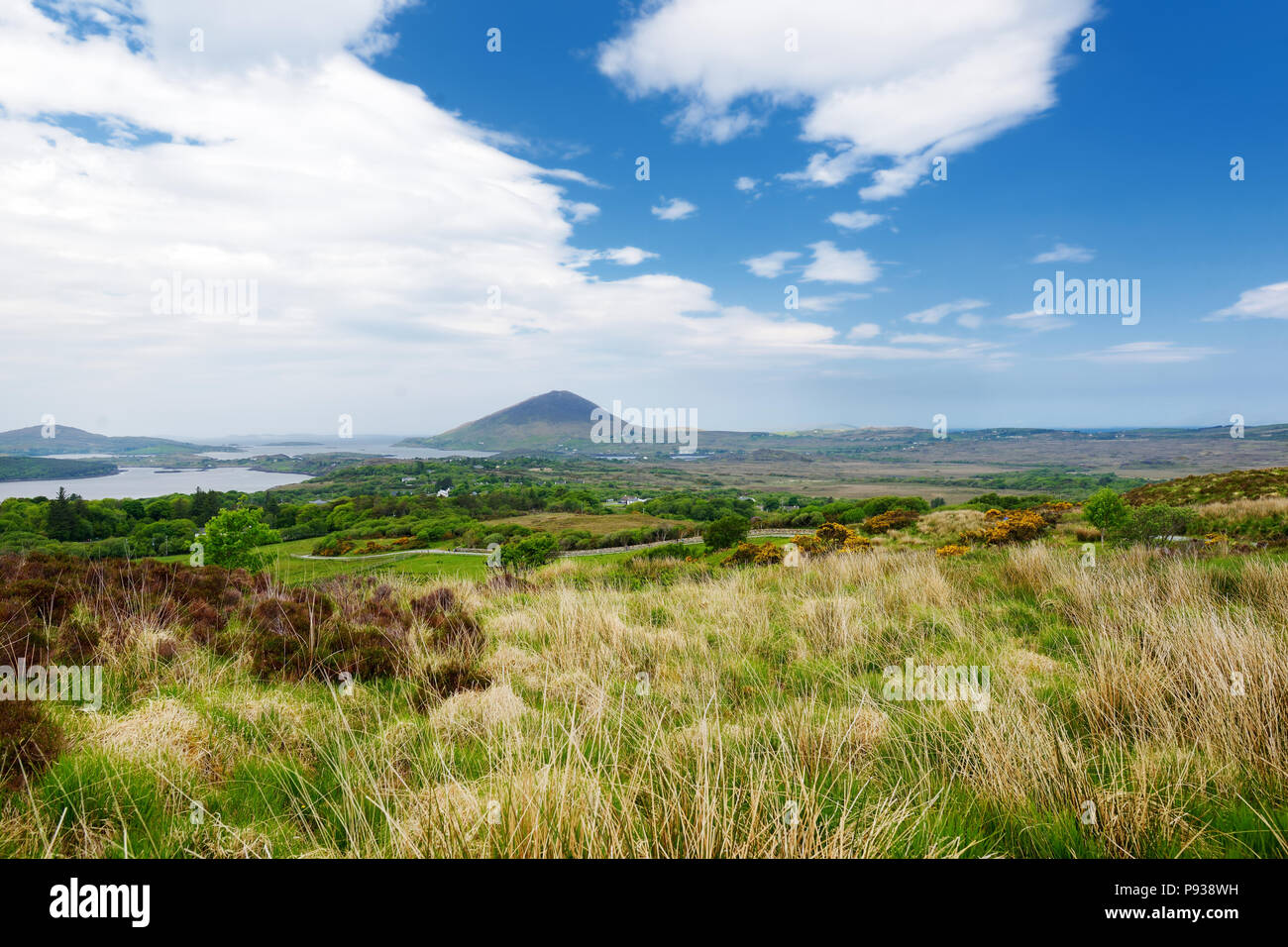 Beautiful view of Connemara National Park, famous for bogs and heaths ...