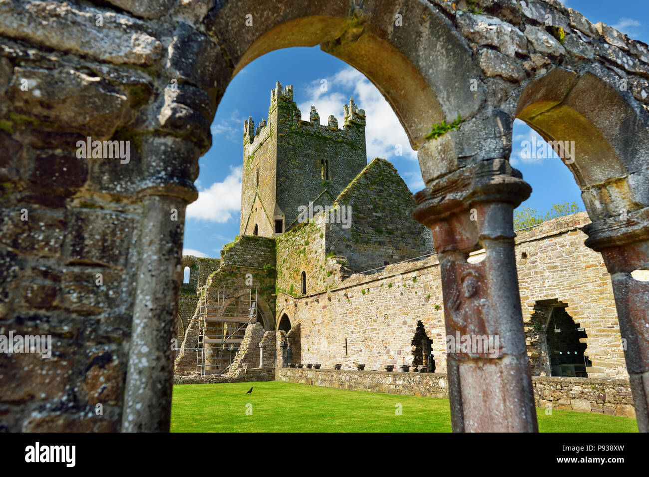 Jerpoint Abbey, a ruined Cistercian abbey, founded in the second half ...