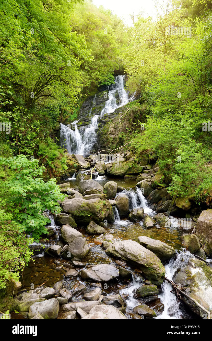 Torc Waterfall, one of most well known tourist attractions in Ireland ...