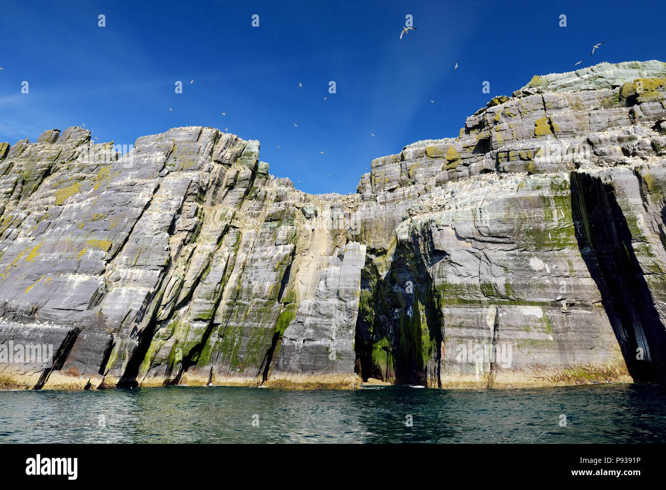 Little Skellig Island, home to many various seabirds and the second ...