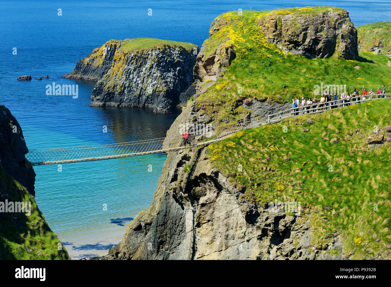 Carrick-a-Rede Rope Bridge, famous rope bridge near Ballintoy in County ...