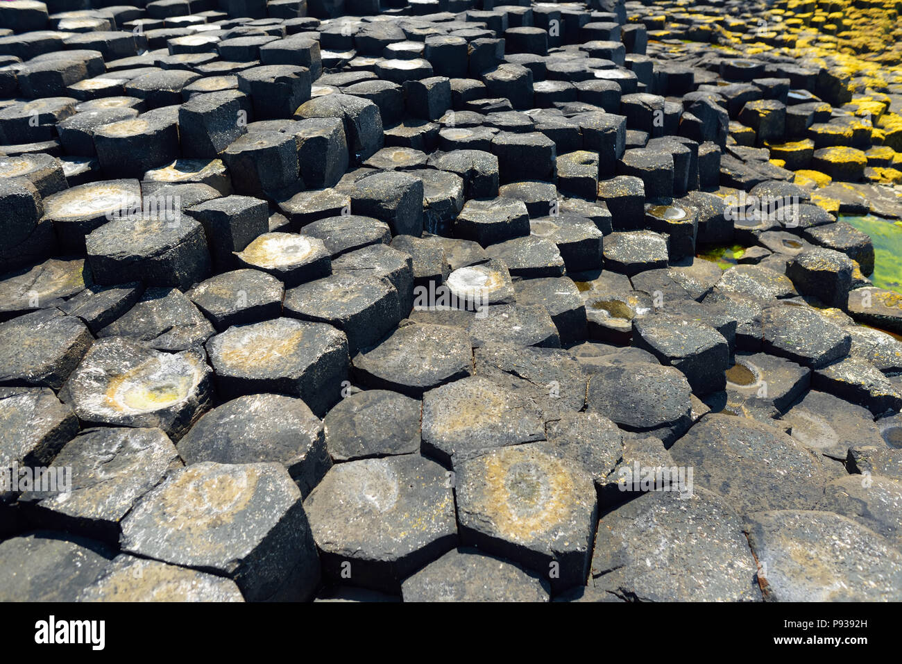 Giants Causeway, an area of hexagonal basalt stones, created by ancient ...