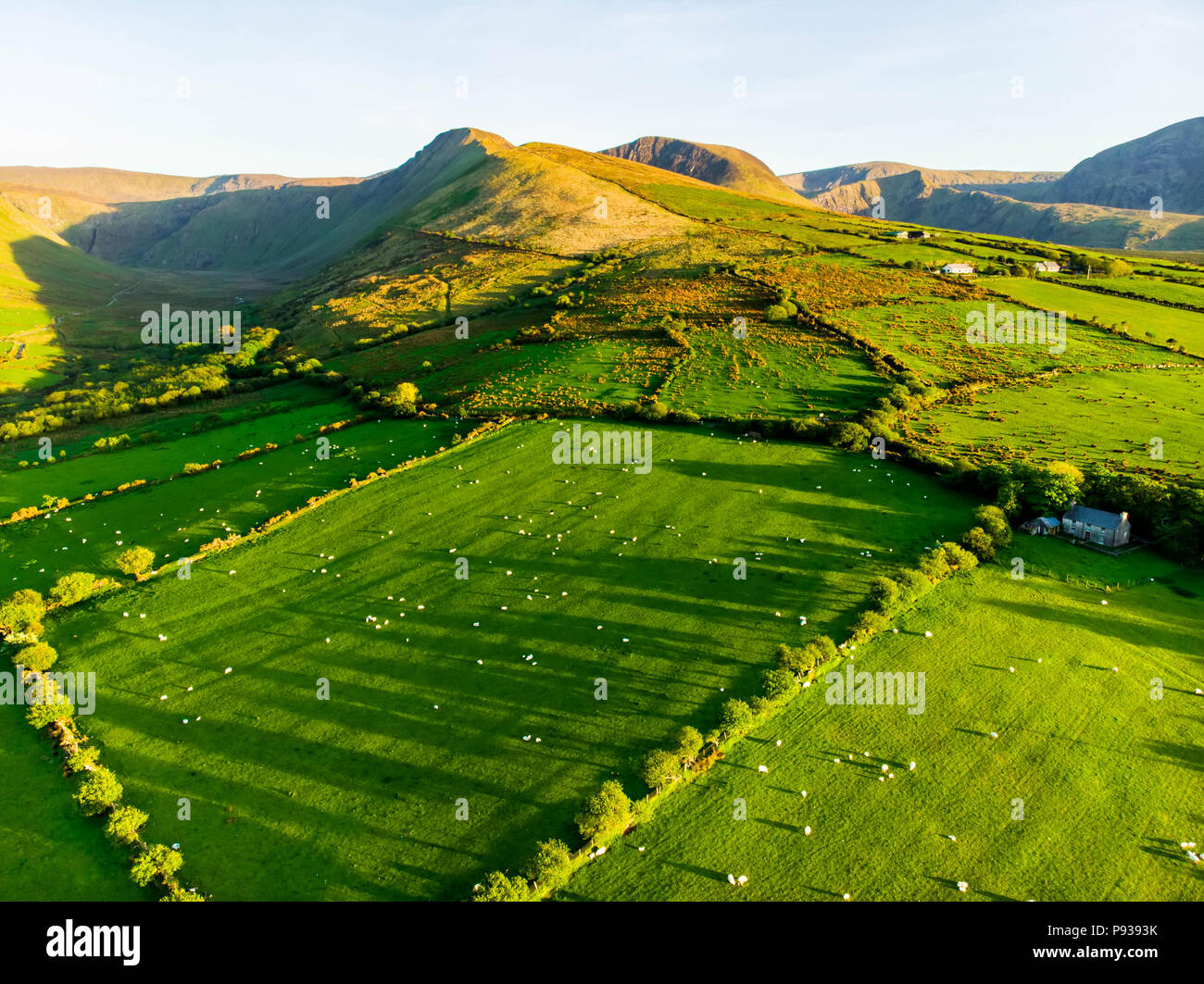 Aerial view of endless lush pastures and farmlands of Ireland ...