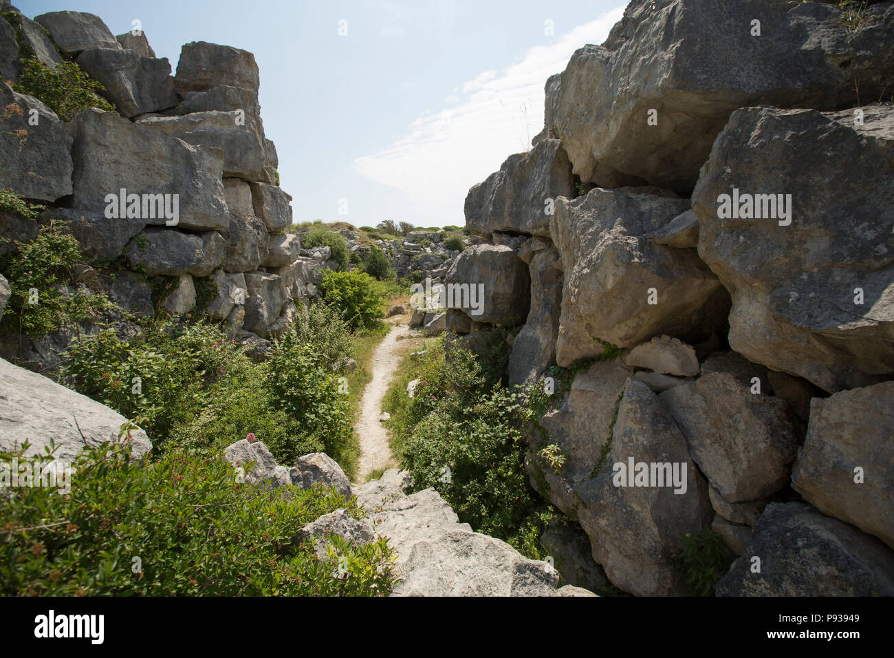 Portland park blocks hi-res stock photography and images - Alamy