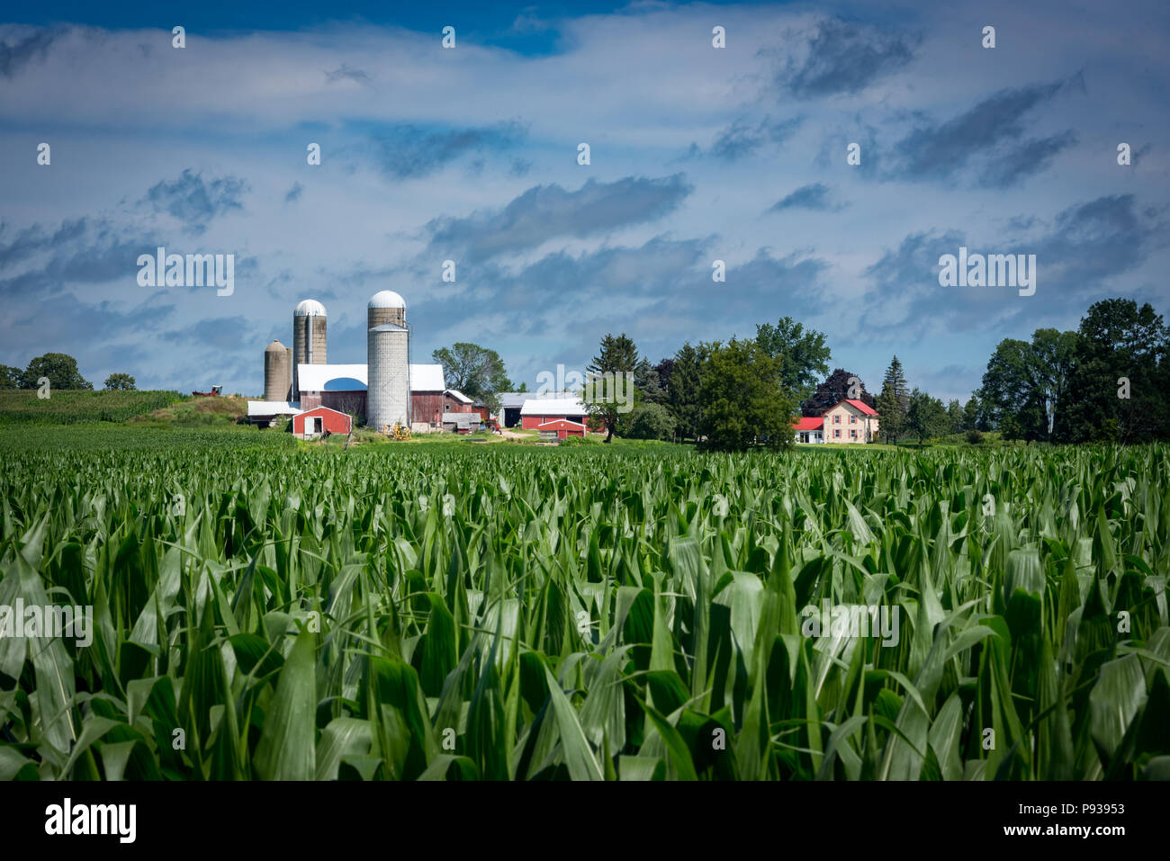 Wisconsin farm life hi-res stock photography and images - Alamy