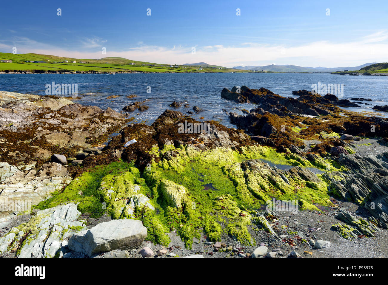 Rough and rocky shore along famous Ring of Kerry route. Rugged coast of ...