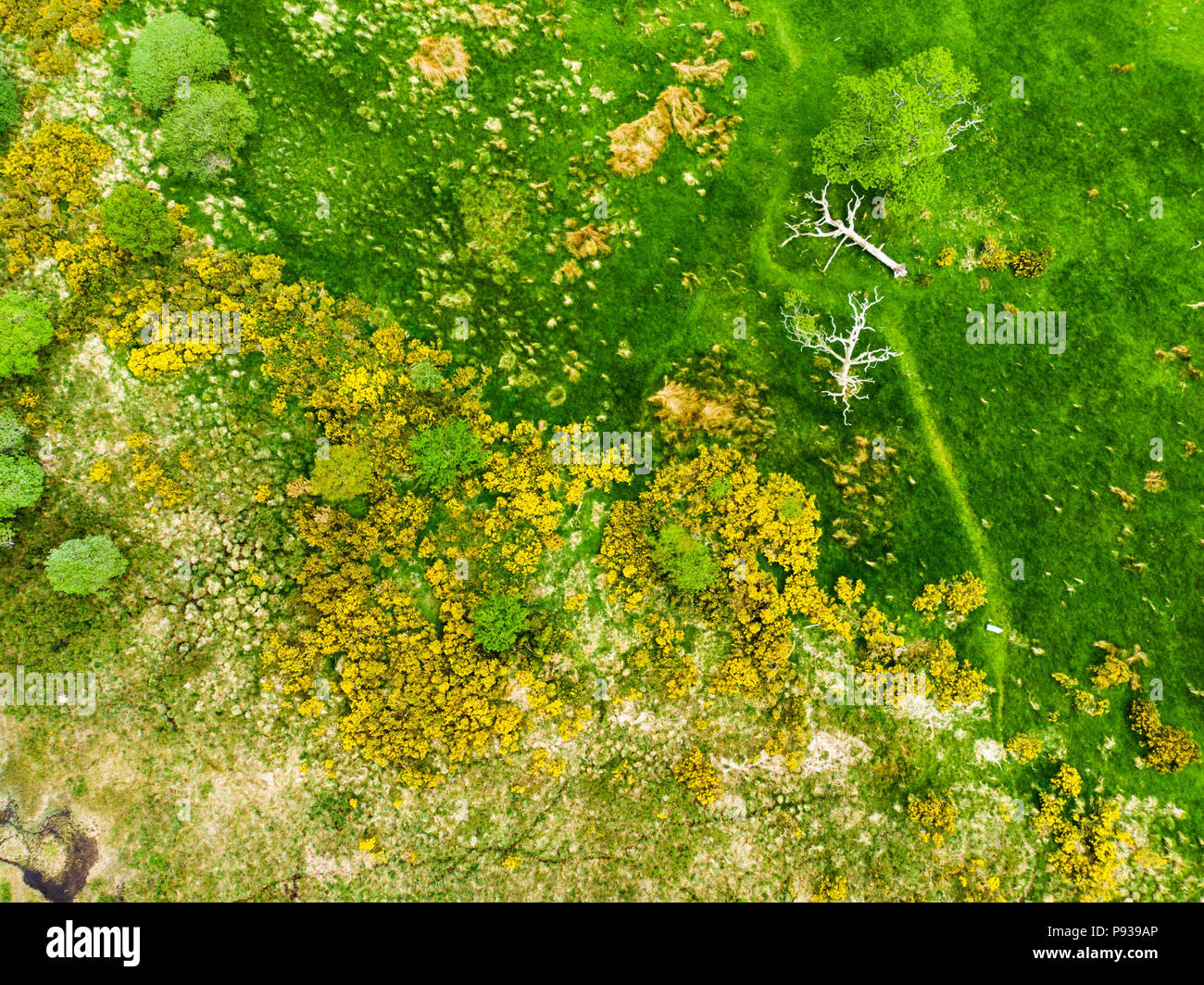 Aerial killarney national park hi-res stock photography and images - Alamy
