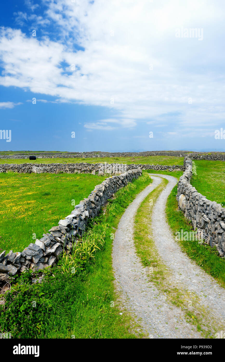 Inishmore or Inis Mor, the largest of the Aran Islands in Galway Bay ...