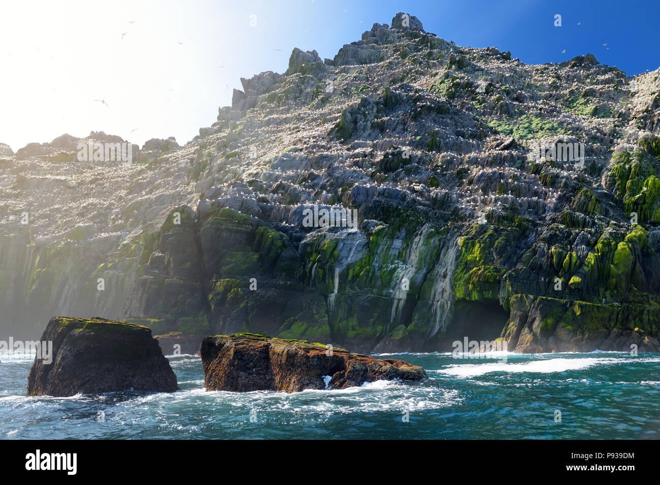 Little Skellig Island, home to many various seabirds and the second ...