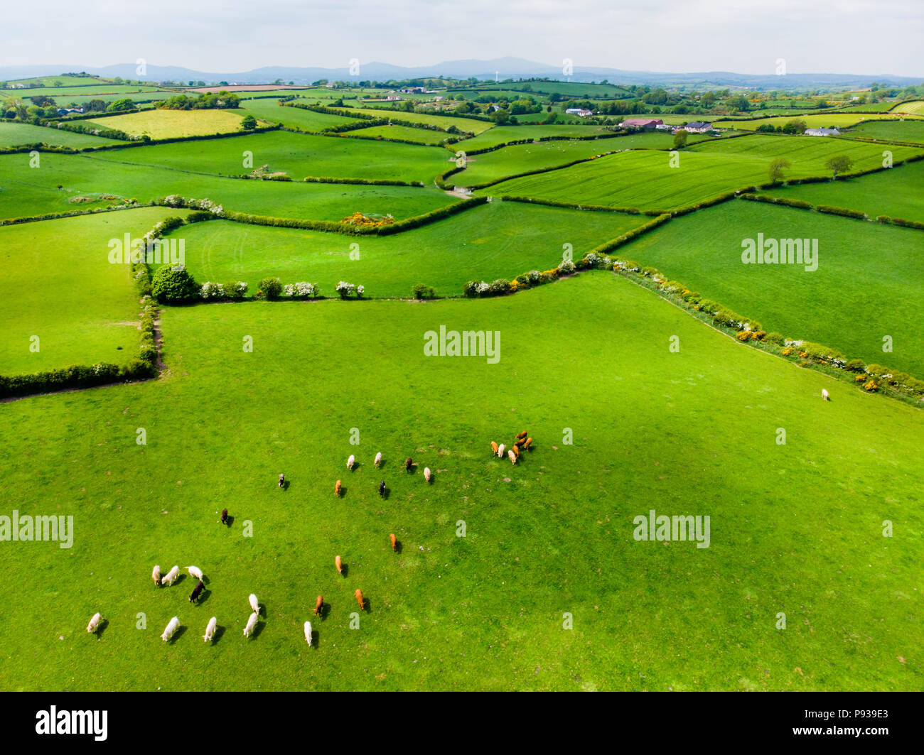Aerial ireland hi-res stock photography and images - Alamy