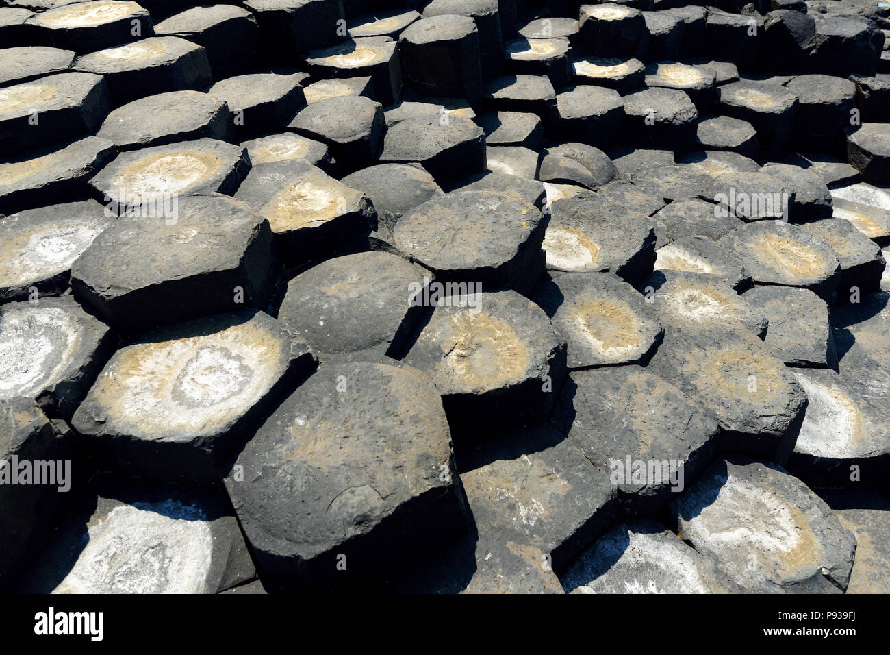 Giants Causeway, an area of hexagonal basalt stones, created by ancient ...