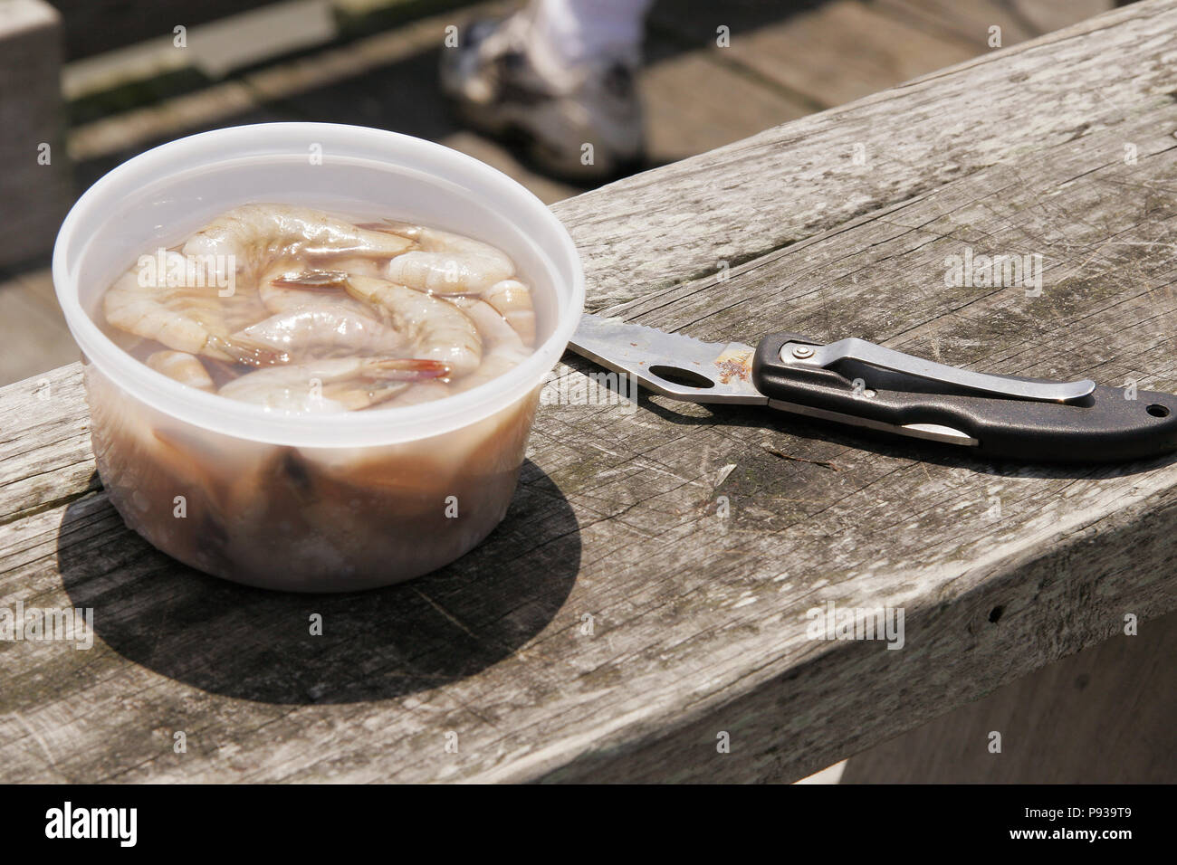 Shrimp cut and ready for the fishing line Stock Photo - Alamy