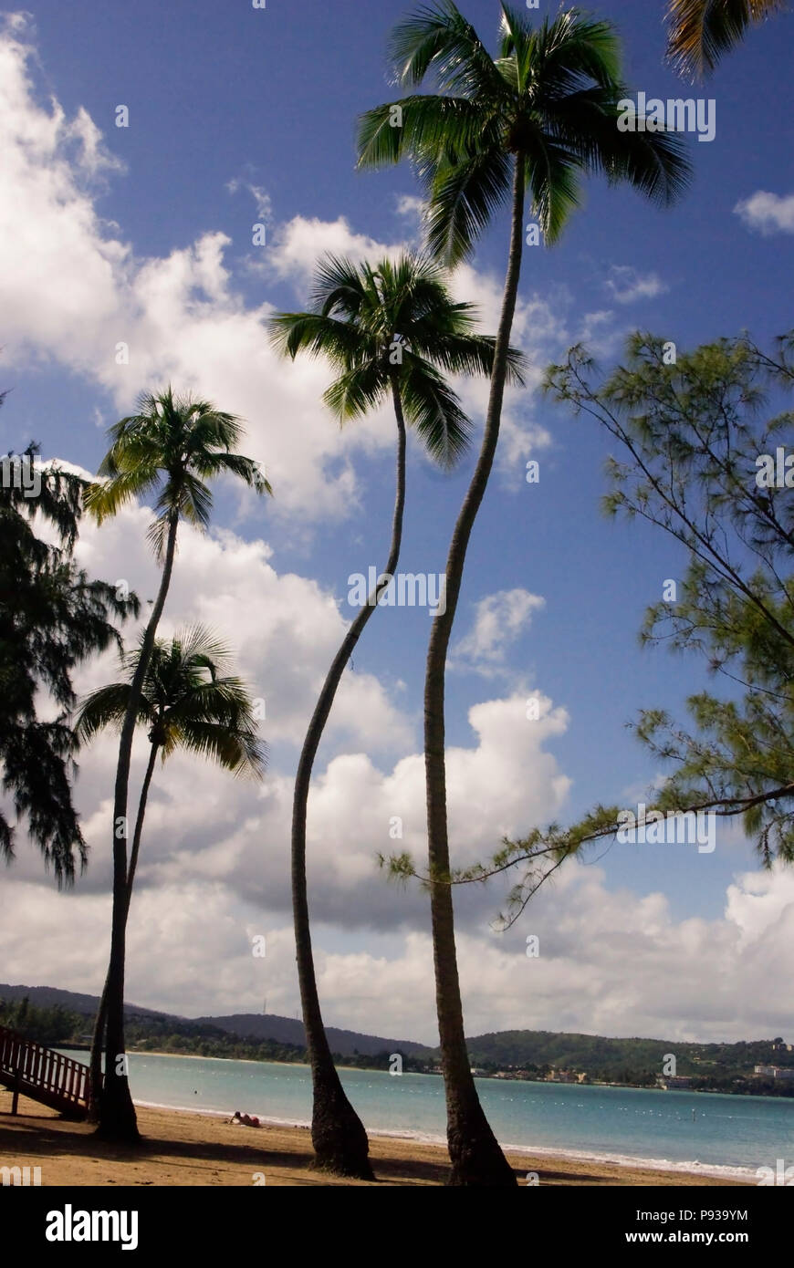 A beautiful Scene in San Juan Puerto Rico Stock Photo - Alamy
