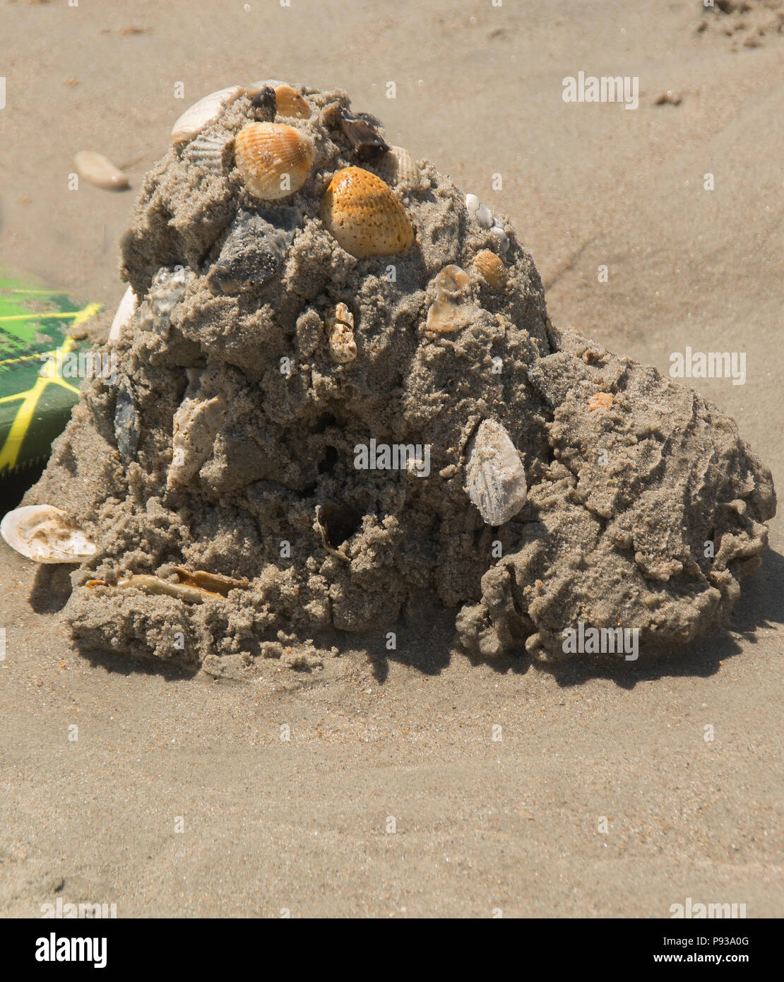 Encrusted shells hi-res stock photography and images - Alamy