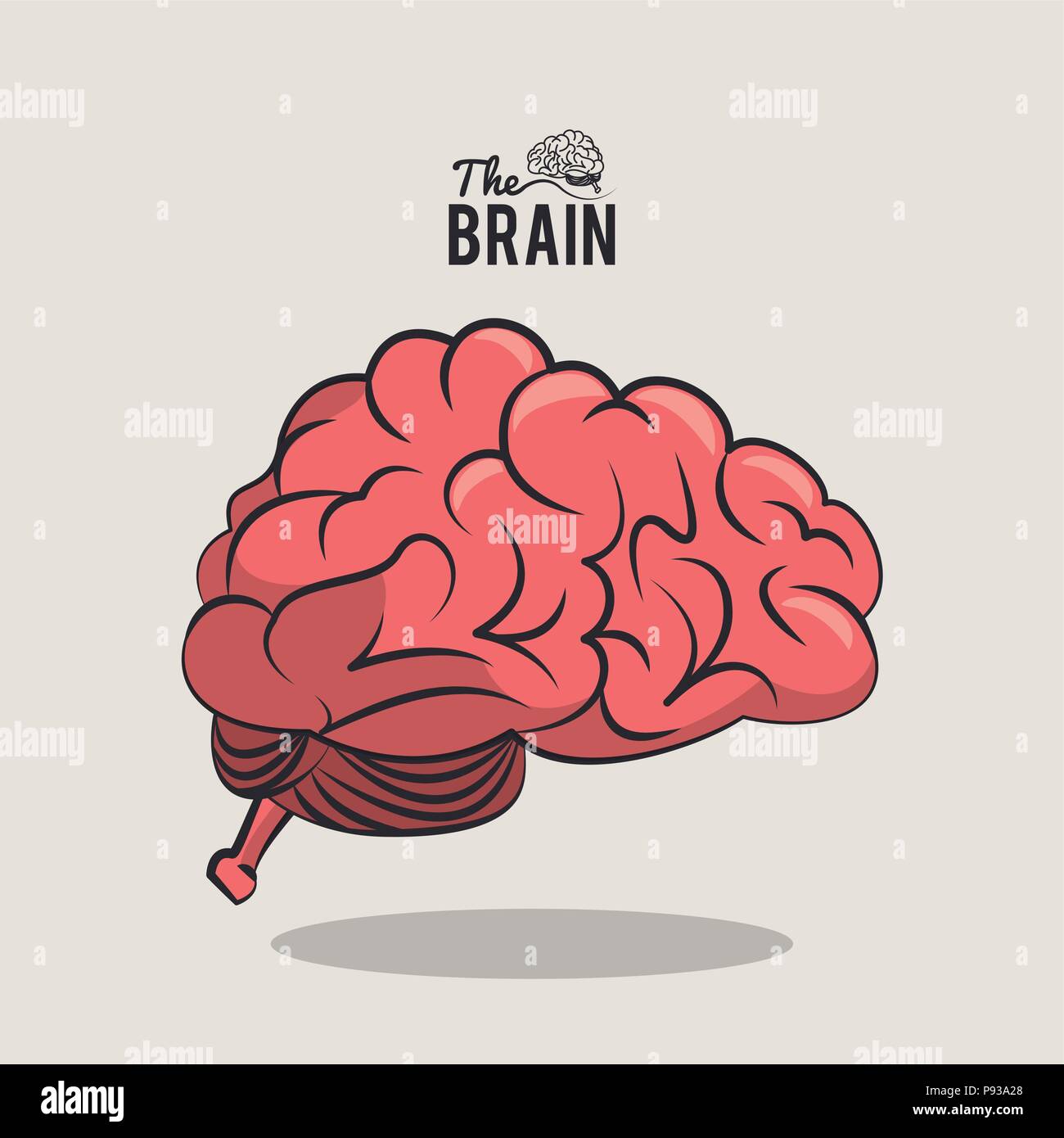 The human brain cartoon vector illustration graphic design Stock Vector ...