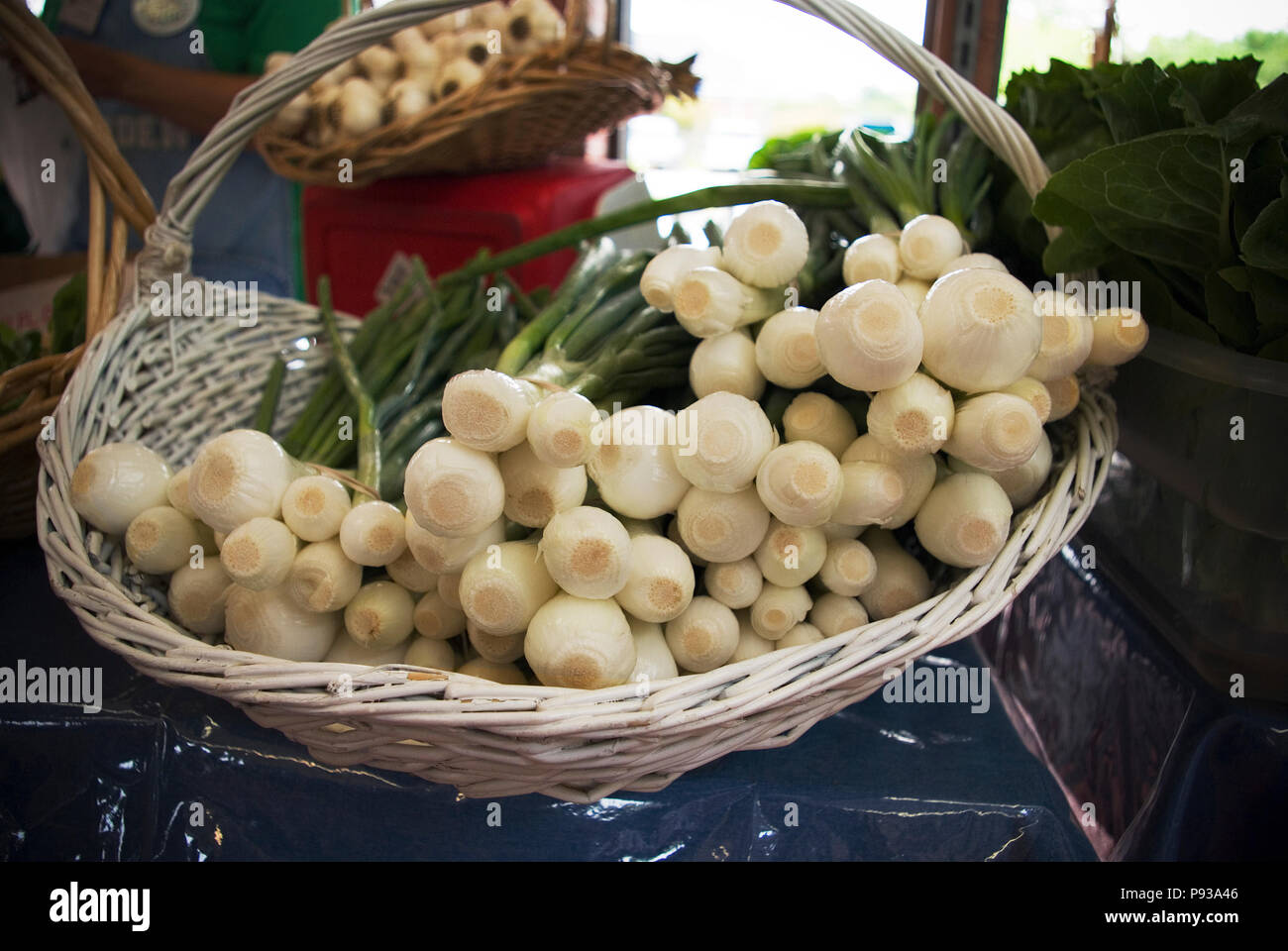 Spring onions at a market for sale hi-res stock photography and images ...
