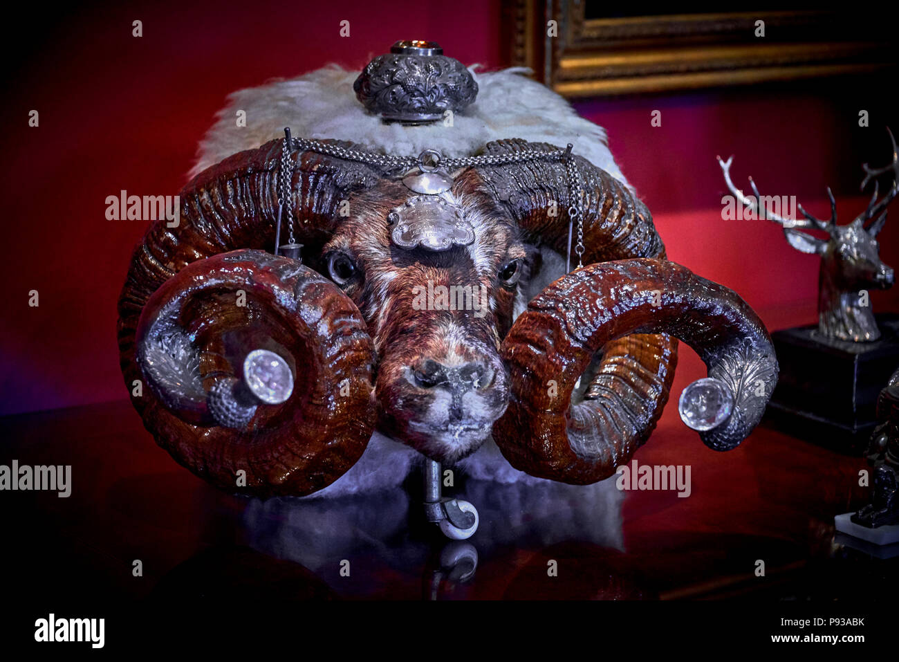 Colonel william skinner hi-res stock photography and images - Alamy