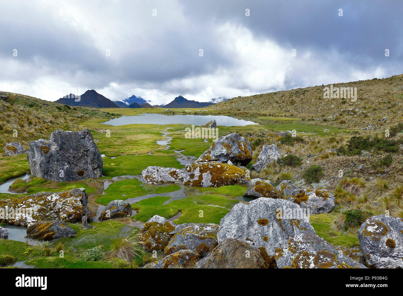 Andean landscape with bofedales Stock Photo - Alamy