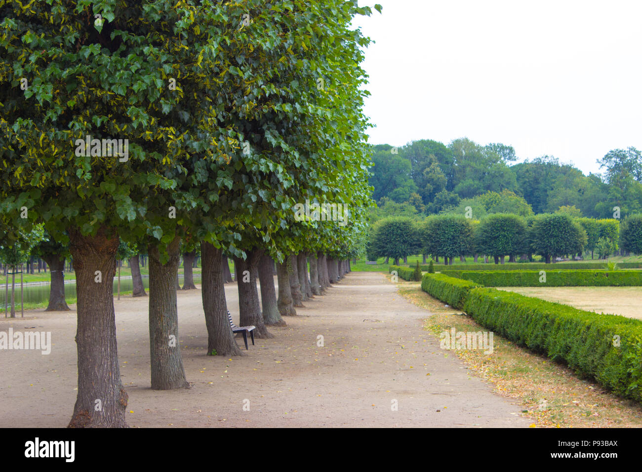 Tree lines hi-res stock photography and images - Alamy