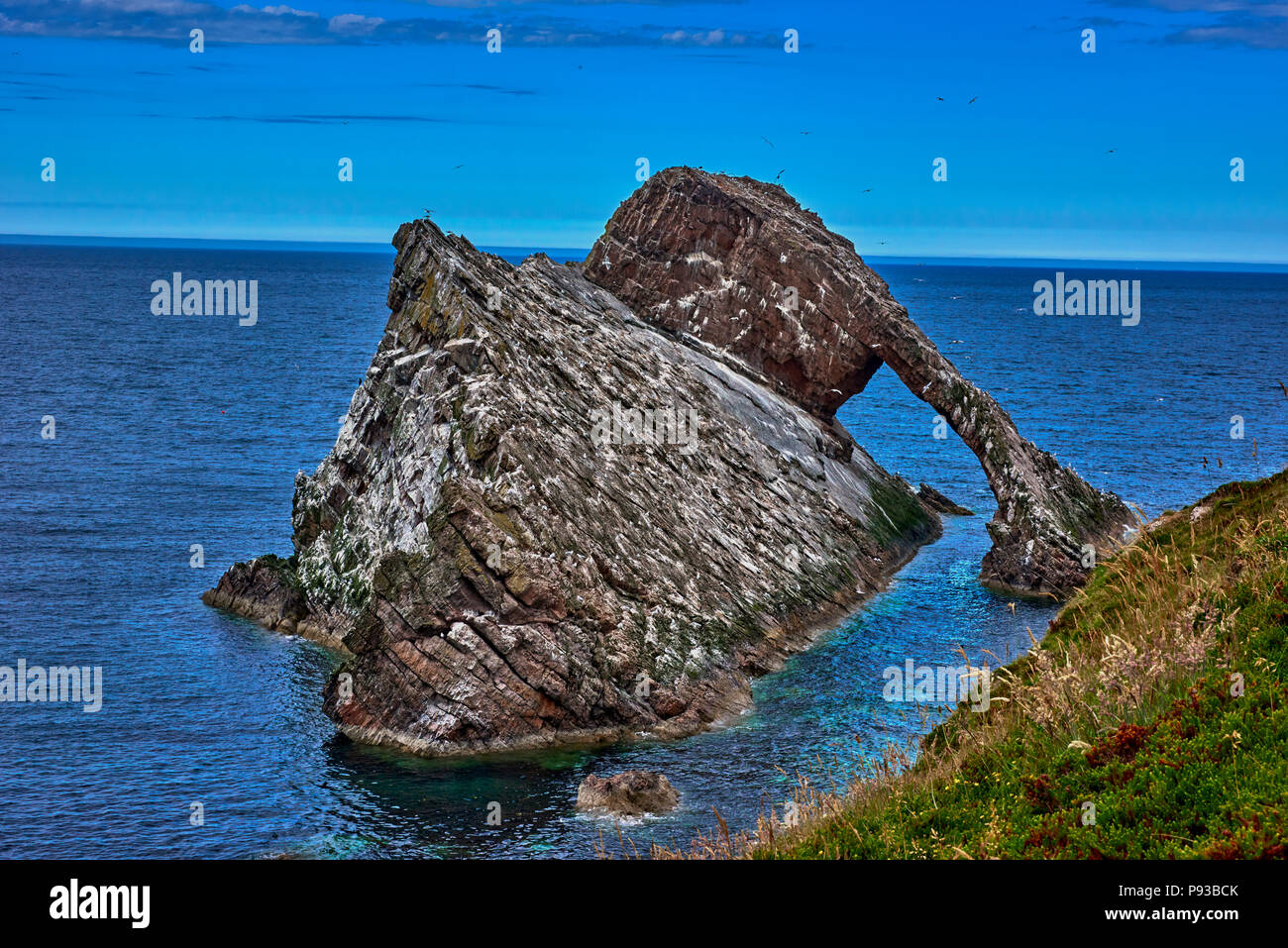 Bow Fiddle Rock (SC18 Stock Photo - Alamy