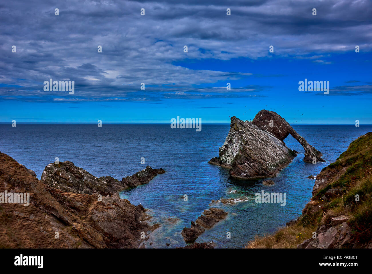 Bow Fiddle Rock (SC18 Stock Photo - Alamy