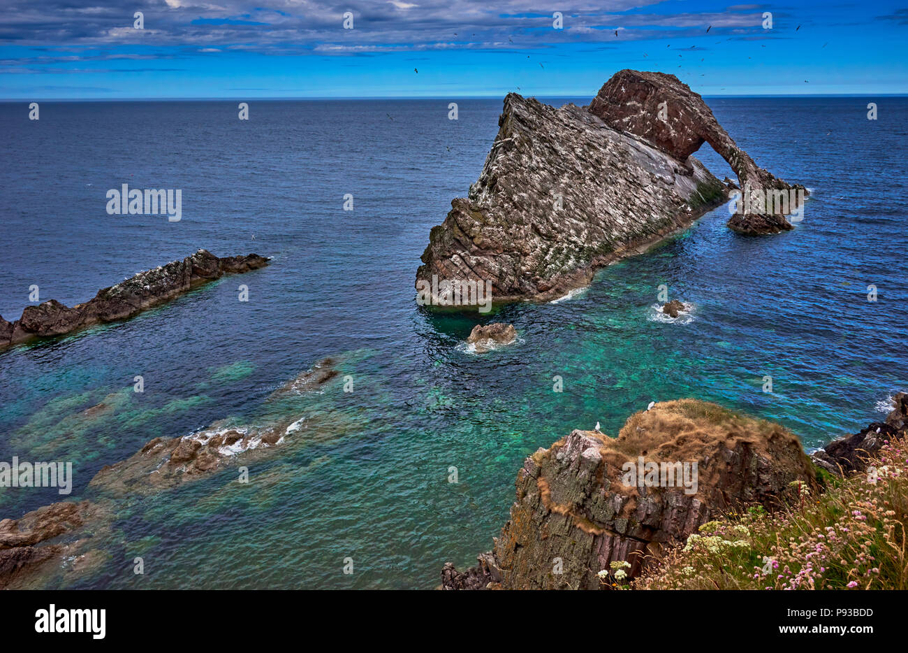 Bow Fiddle Rock (SC18 Stock Photo - Alamy