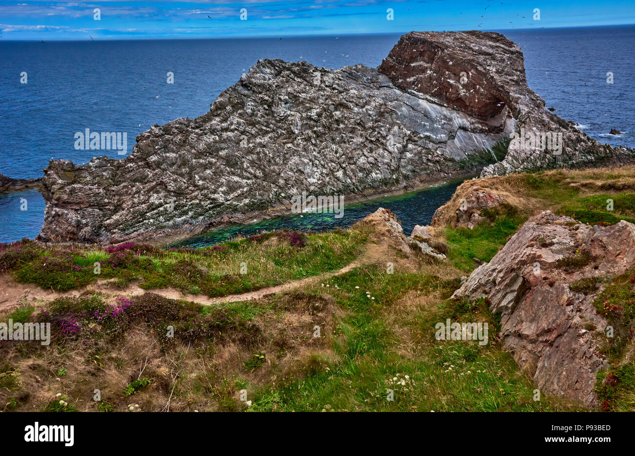 Bow Fiddle Rock (SC18 Stock Photo - Alamy